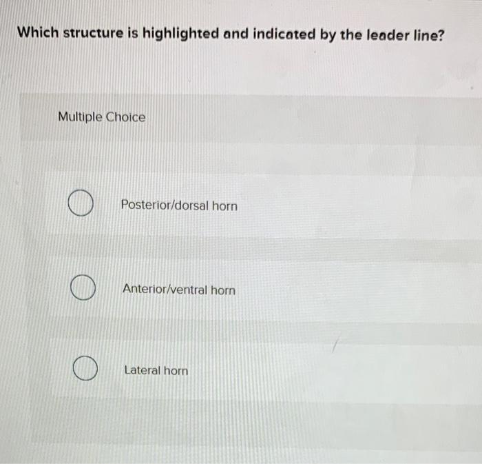 Solved 10 12 9-8 Which structure is highlighted and | Chegg.com