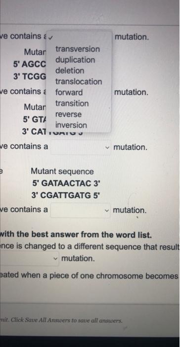 Solved Below a wild-type sequence is compared to a mutation | Chegg.com