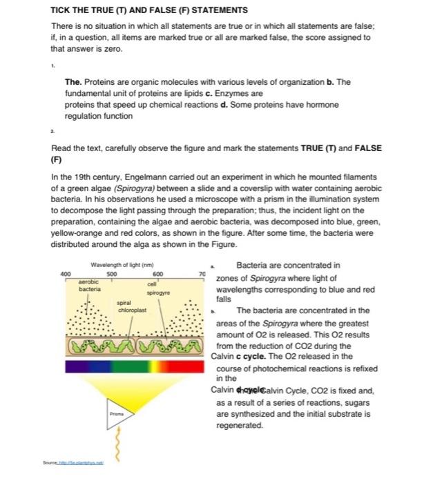 Solved TICK THE TRUE (T) AND FALSE (F) STATEMENTS There is | Chegg.com