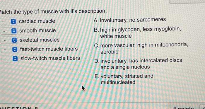 Solved latch the type of muscle with it's description. - A | Chegg.com