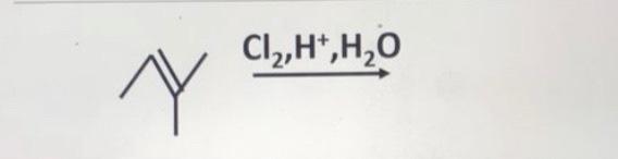 Solved Cl2,H+,H20 Y | Chegg.com