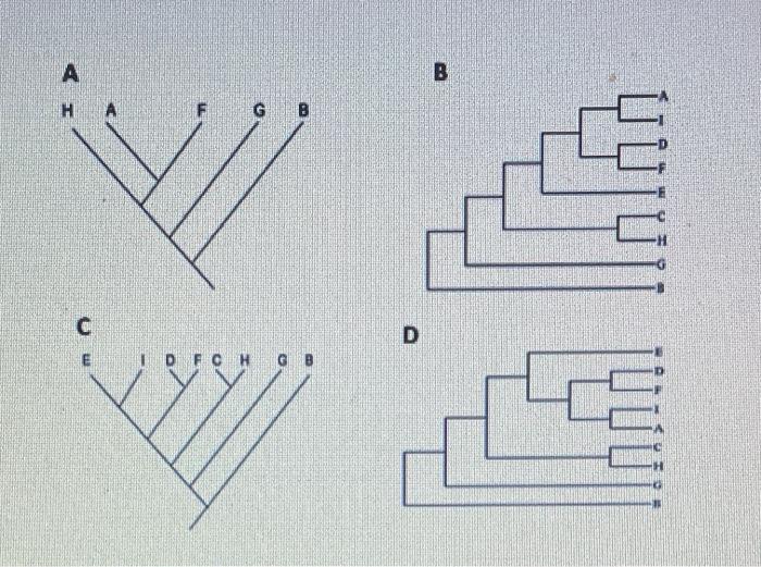 Solved E A D F C H GB Given the tree above, which tree below | Chegg.com