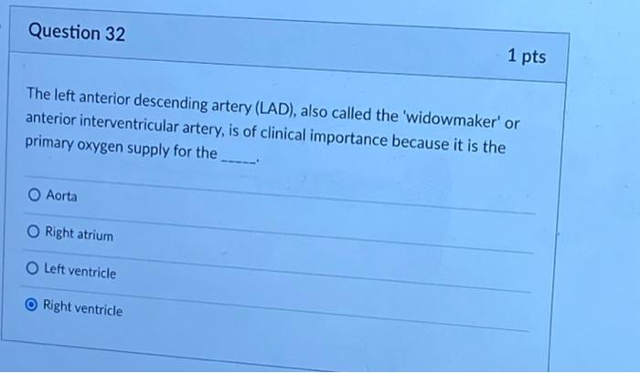 Solved The left anterior descending artery (LAD), also | Chegg.com