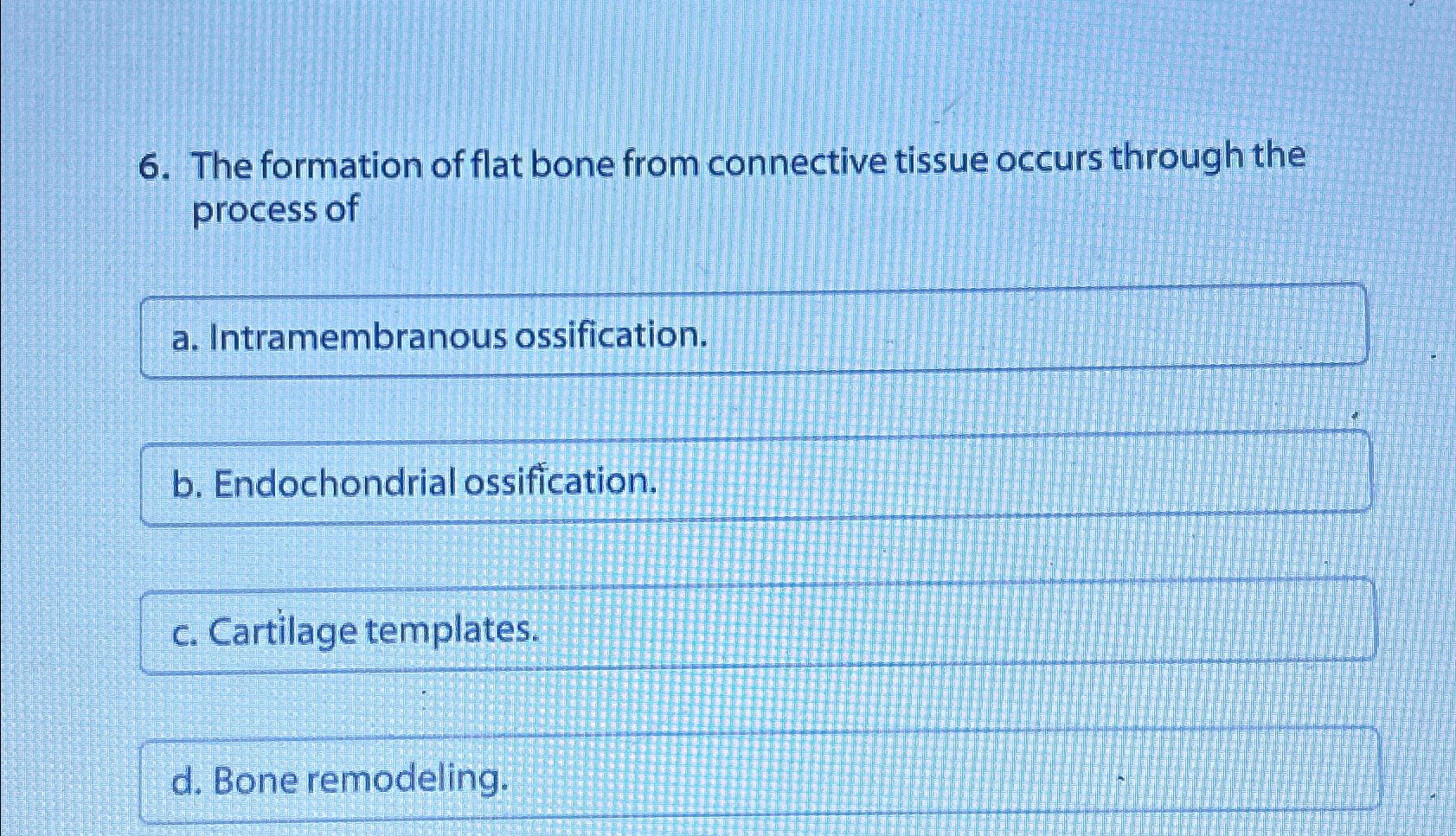 The formation of flat bone from connective tissue | Chegg.com