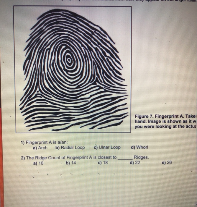 Solved Figure 7. Fingerprint A. Take hand. Image is shown as | Chegg.com