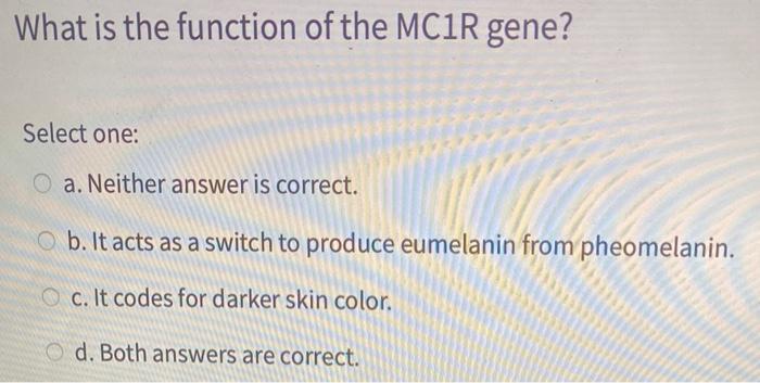 Solved What is the function of the MC1R gene? Select one: a. | Chegg.com