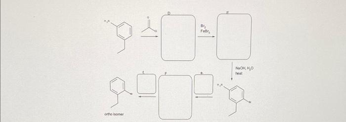 Solved 5. (12 points) The ortho and meta isomers of bromo | Chegg.com