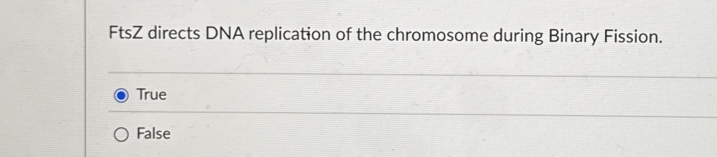 Solved FtsZ directs DNA replication of the chromosome during | Chegg.com