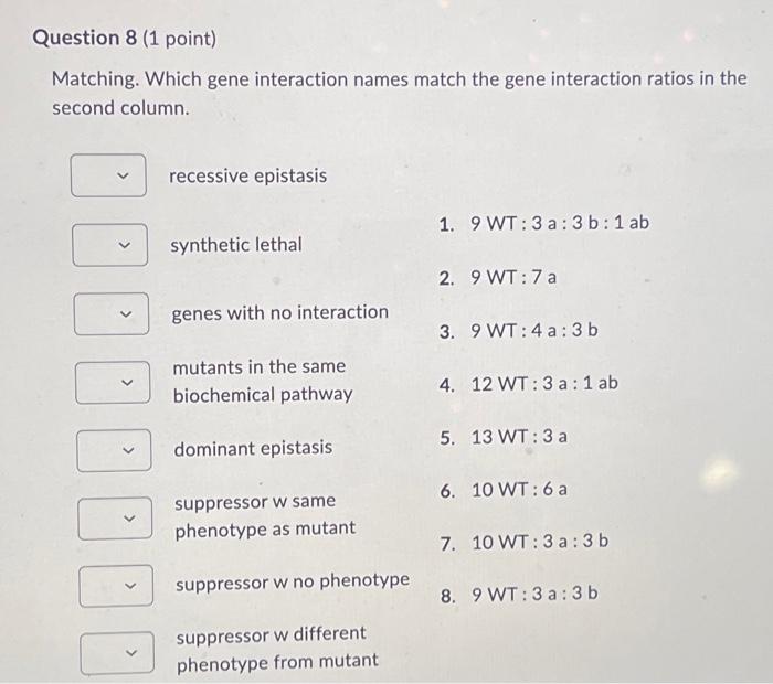 Solved Question 8 (1 point) Matching. Which gene interaction | Chegg.com