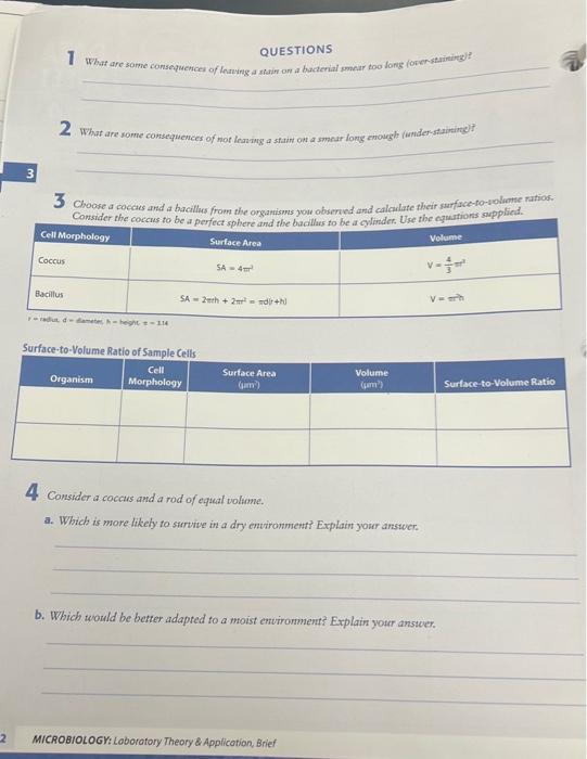 Solved 2 3 2 What are some consequences of not leaving a | Chegg.com