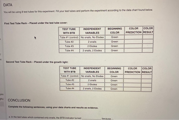 Solved DATA You will be using 8 test tubes for this | Chegg.com