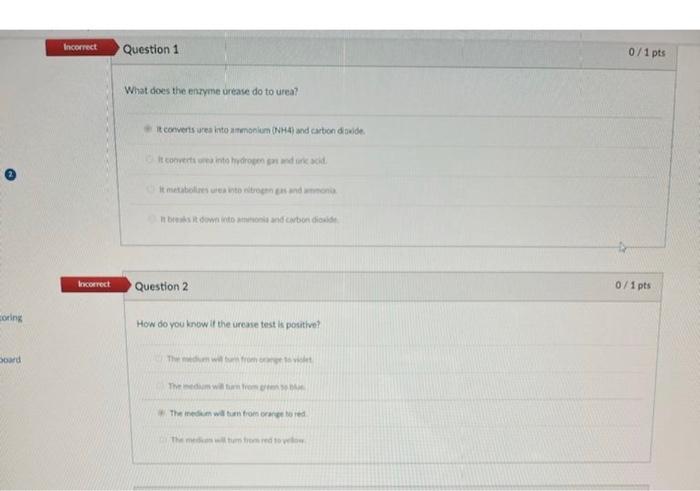 What does the enryme urease do to urea? it convers | Chegg.com