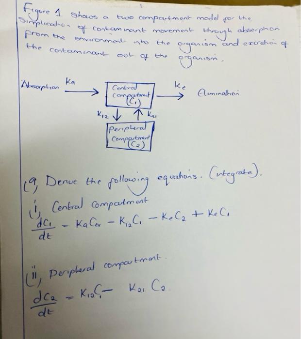 Solved Figure 1 shows a two compartment model for the | Chegg.com