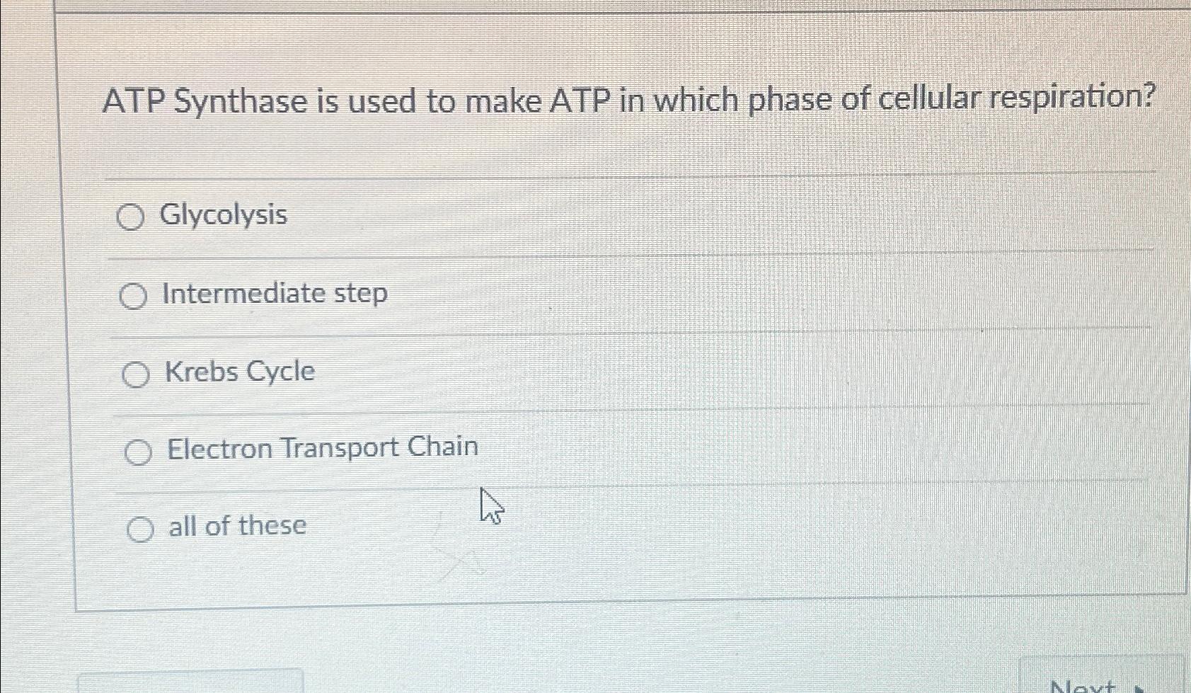 Solved ATP Synthase is used to make ATP in which phase of | Chegg.com