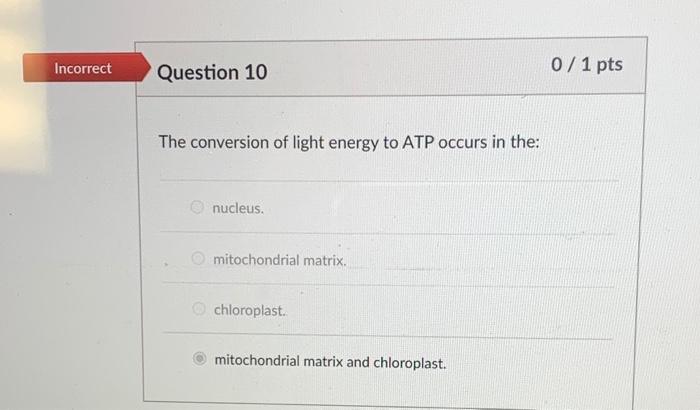 Solved ect Question 3 0/ 1 pts All of the following | Chegg.com
