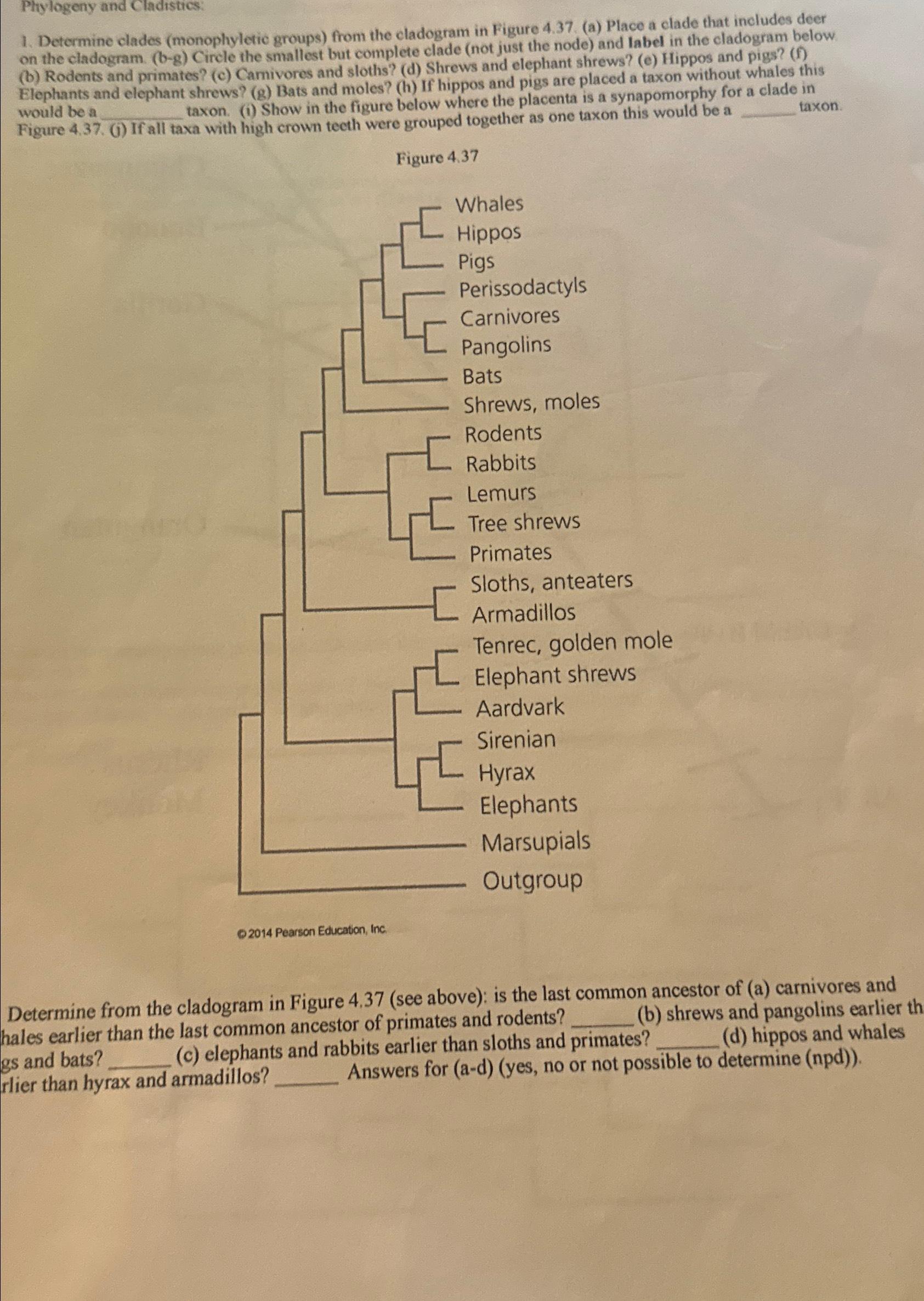 Solved Plyylogeny and Cladistics:Determine clades | Chegg.com