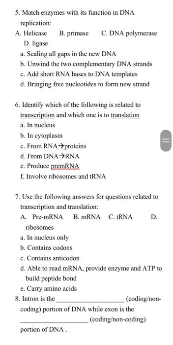 Solved 5. Match enzymes with its function in DNA | Chegg.com