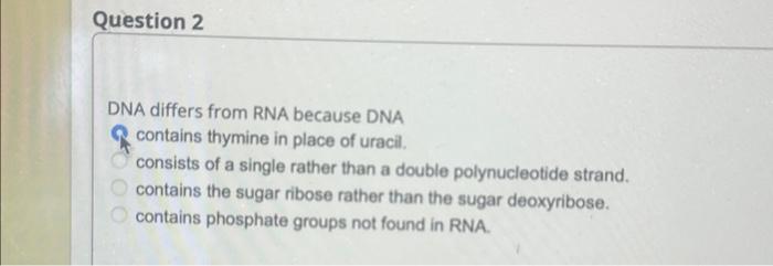 Solved DNA differs from RNA because DNA contains thymine in | Chegg.com