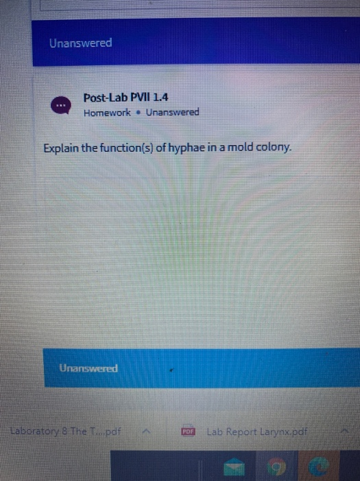 Solved Unanswered BBB Post-Lab PVII 1.4 Homework – | Chegg.com