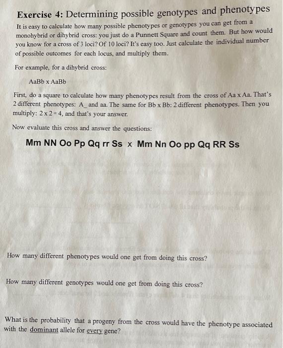 Solved Exercise 4: Determining possible genotypes and | Chegg.com