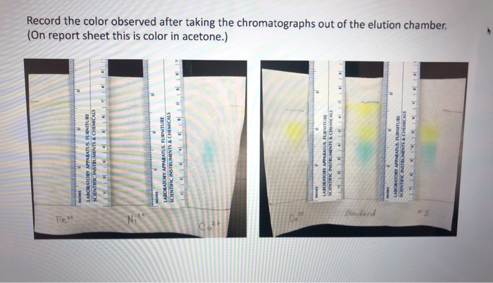 Solved If there is no color visible, record NA (not | Chegg.com