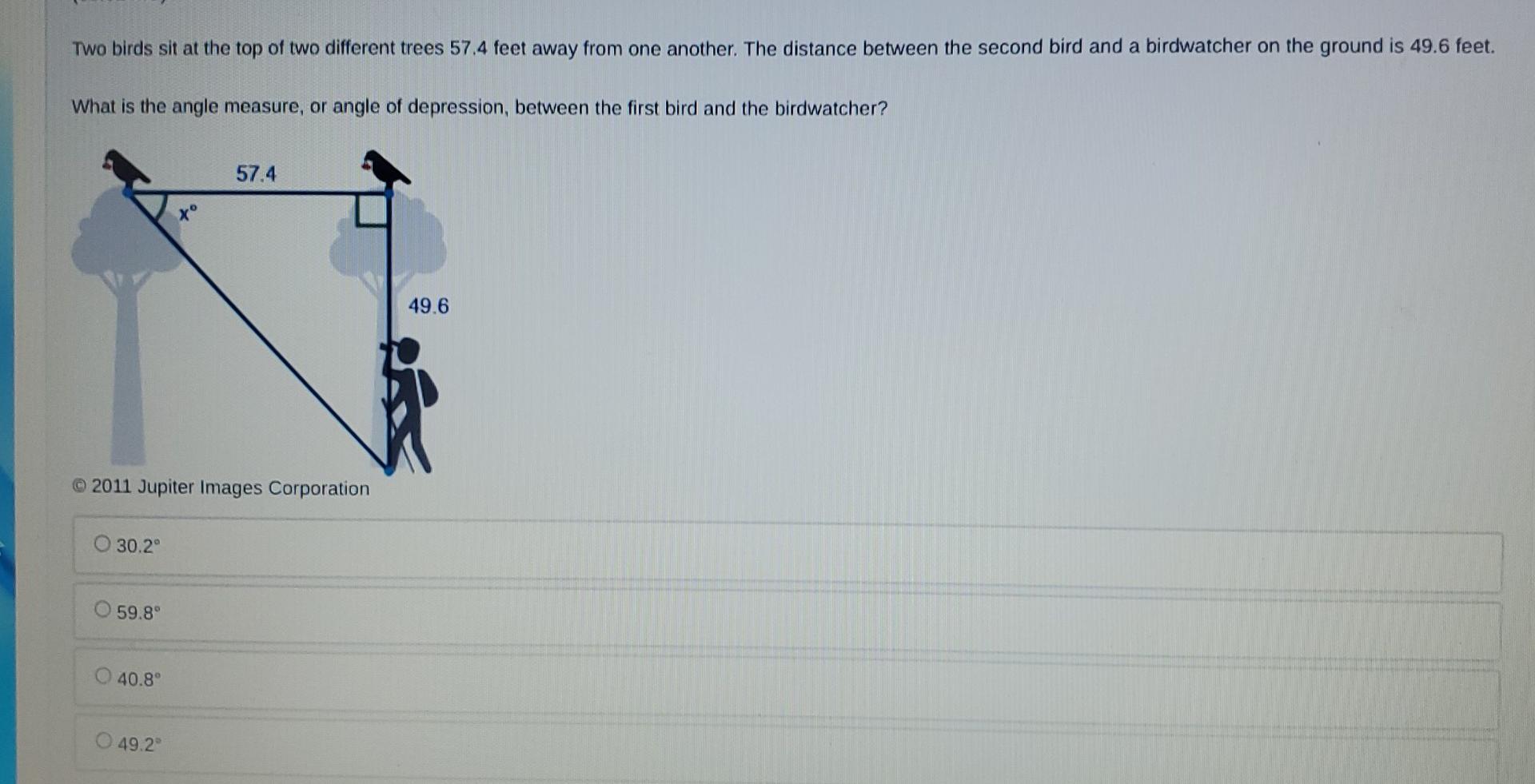 Solved Two birds sit at the top of two different trees 57.4 | Chegg.com