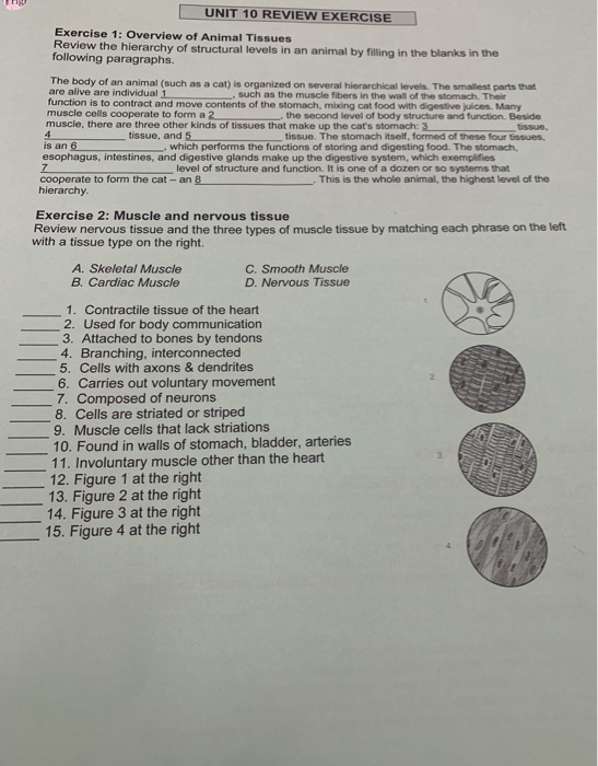 Solved UNIT 10 REVIEW EXERCISE Exercise 1: Overview of | Chegg.com