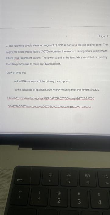 Solved 2. The following double stranded segment of DNA is | Chegg.com