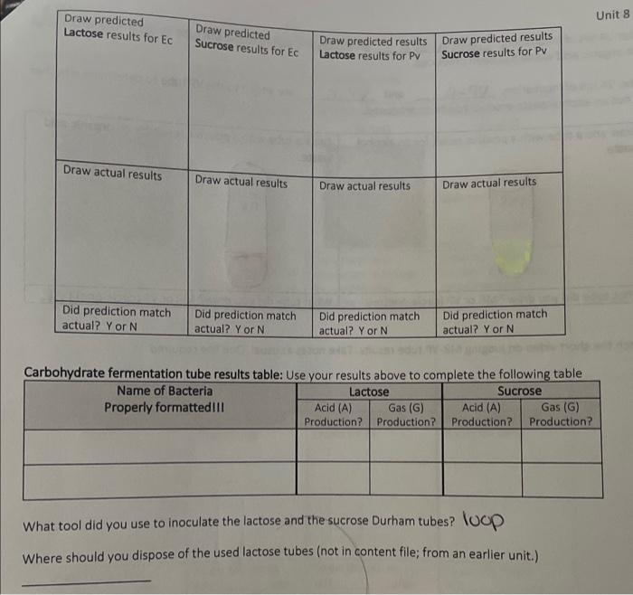 Use tl Carbohydrate fermentation tube results table: | Chegg.com
