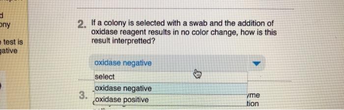 Solved 1. The oxidase test requires the use of a reagent | Chegg.com