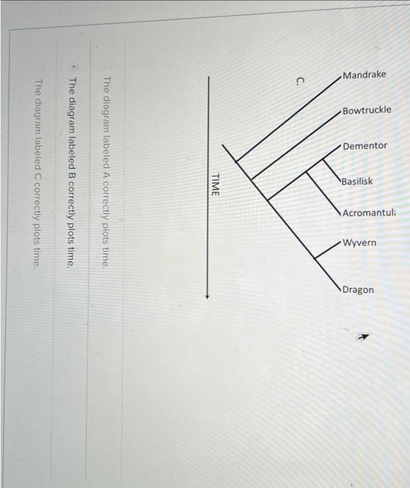 Solved Please solve. I know that the answer is not diagram B | Chegg.com