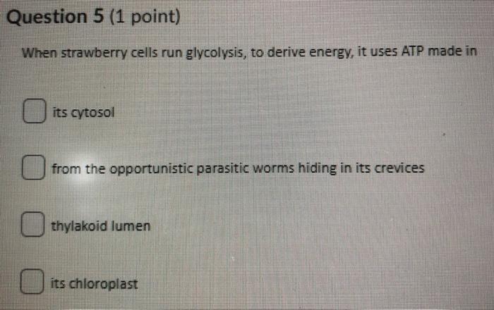 Solved Question 7 (1 point) Where in the strawberry cells | Chegg.com