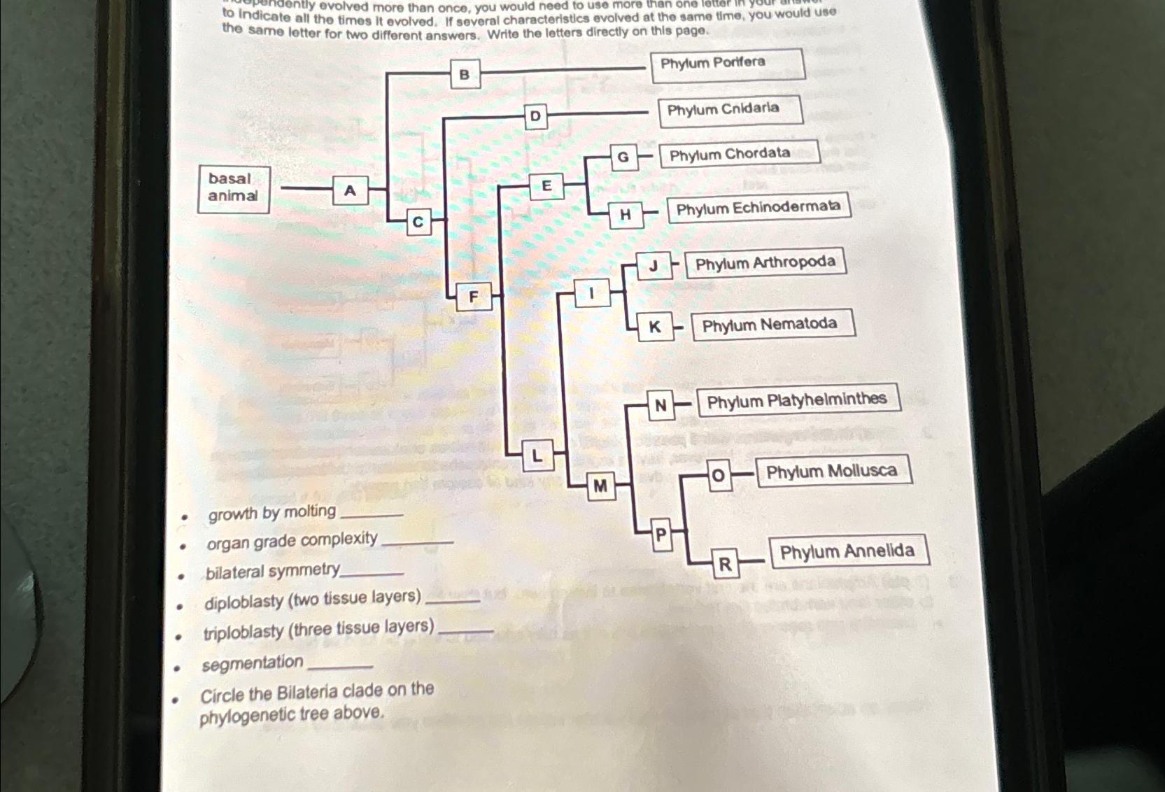Solved to indicate all the times it evolved. If several | Chegg.com