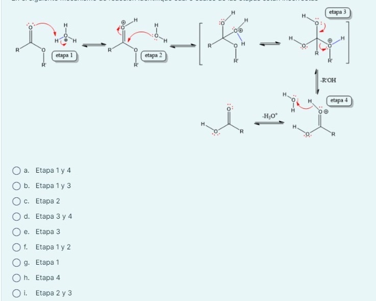 Select the correct answer:In the following reaction | Chegg.com