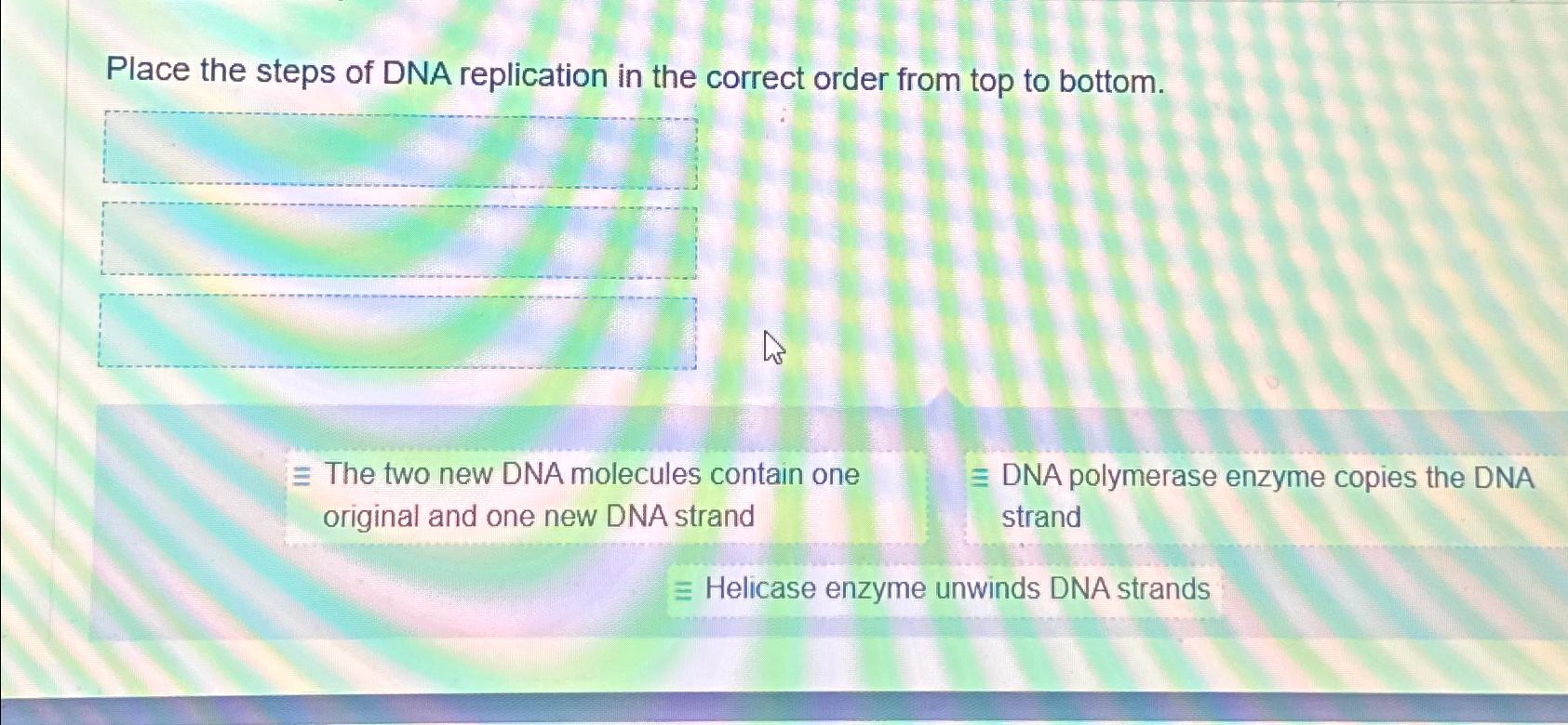 Solved Place the steps of DNA replication in the correct | Chegg.com