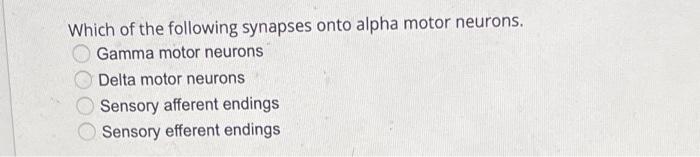 Solved Which of the following synapses onto alpha motor | Chegg.com