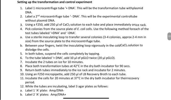 Setting up the transformation and control experiment | Chegg.com