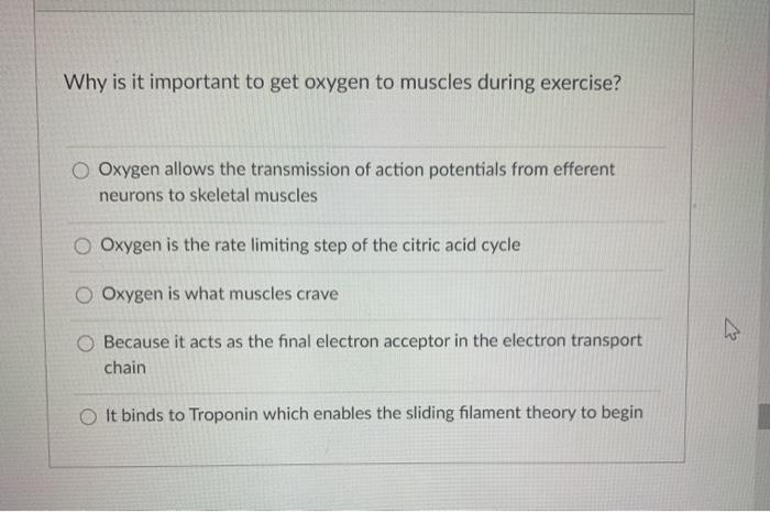 Solved Why is it important to get oxygen to muscles during | Chegg.com