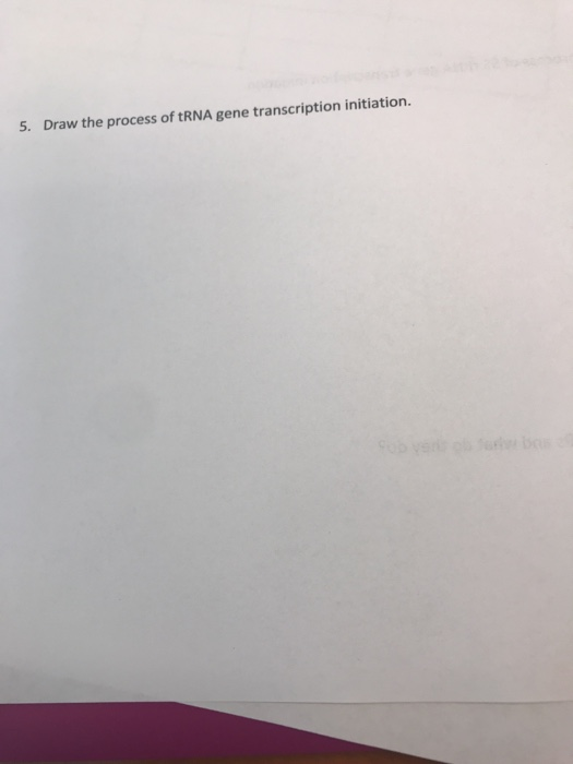 Solved 5. Draw the process of tRNA gene transcription | Chegg.com