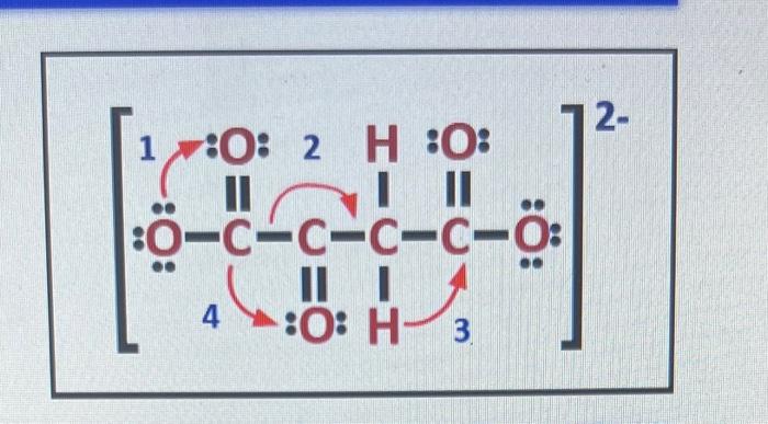 Solved How many resonance structures does the oxaloaceatate | Chegg.com