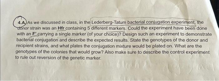 Solved 4.A. As we discussed in class, in the Lederberg-Tatum | Chegg.com