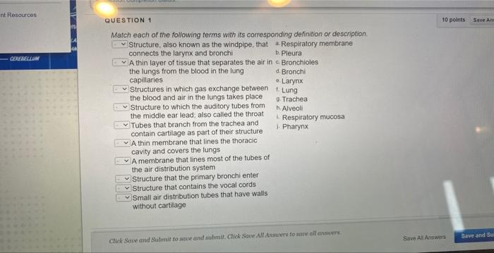 Solved QUESTION 1 Match each of the following terms with its | Chegg.com