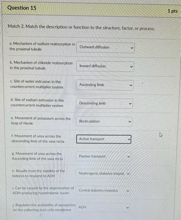Solved Match 4. Match the description or function to the | Chegg.com