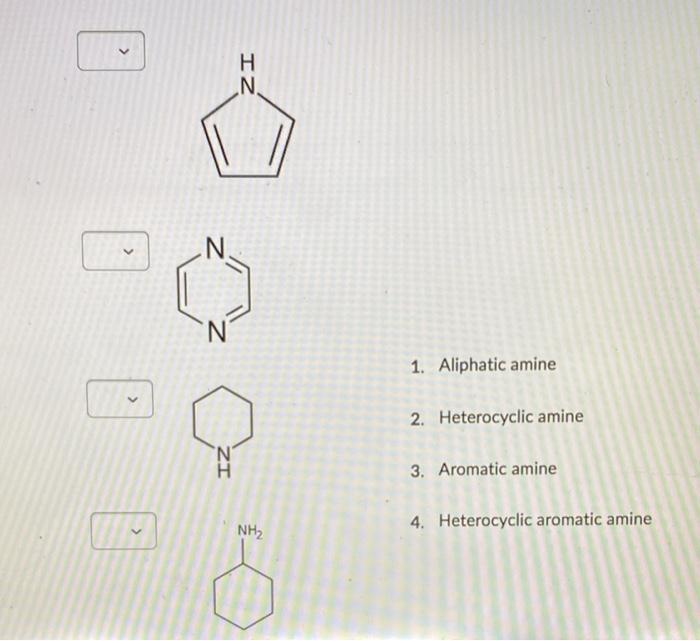 Solved classify as an aliphatic amine, aromatic amine, | Chegg.com