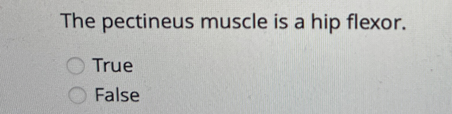 Solved The pectineus muscle is a hip flexor.TrueFalse | Chegg.com