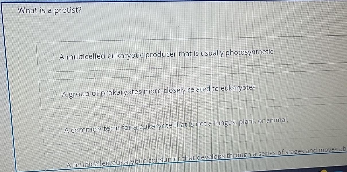 Solved What is a protist?A multicelled eukaryotic producer | Chegg.com