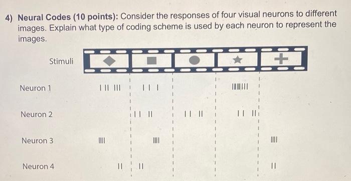 Solved 1) Neural Codes (10 points): Consider the responses | Chegg.com