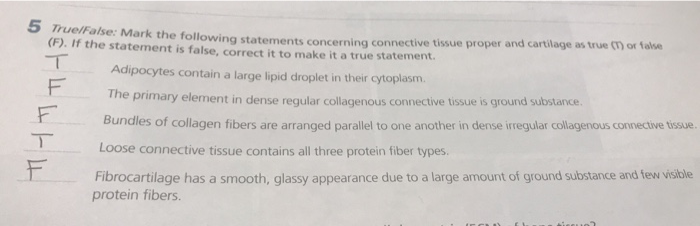 Solved 5 Truelfalse Mark The Following Statements 