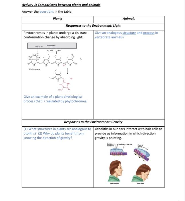 Solved Activity 1: Comparisons between plants and animals | Chegg.com