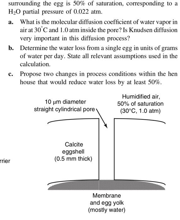 Solved 26.5 Chicken eggs possess a hard, porous shell of | Chegg.com